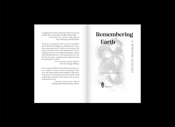 Remembering Earth: A Spiritual Ecology – Emergence Magazine Store